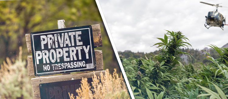 9 Tips to find the perfect guerrilla spot - Cannaconnection.com