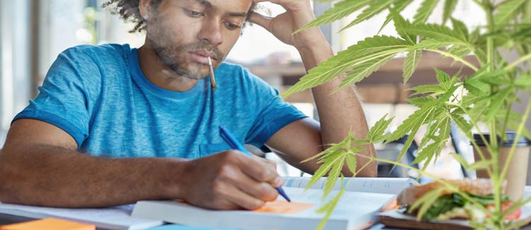 10 consejos para mantenerte productivo cuando consumes marihuana ... 10 consejos para mantenerte productivo cuando consumes marihuana ...