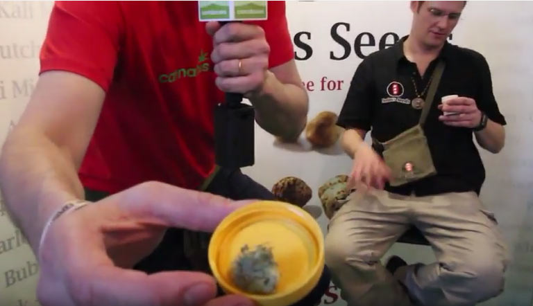 Interview with Serious Seeds - CannaConnection