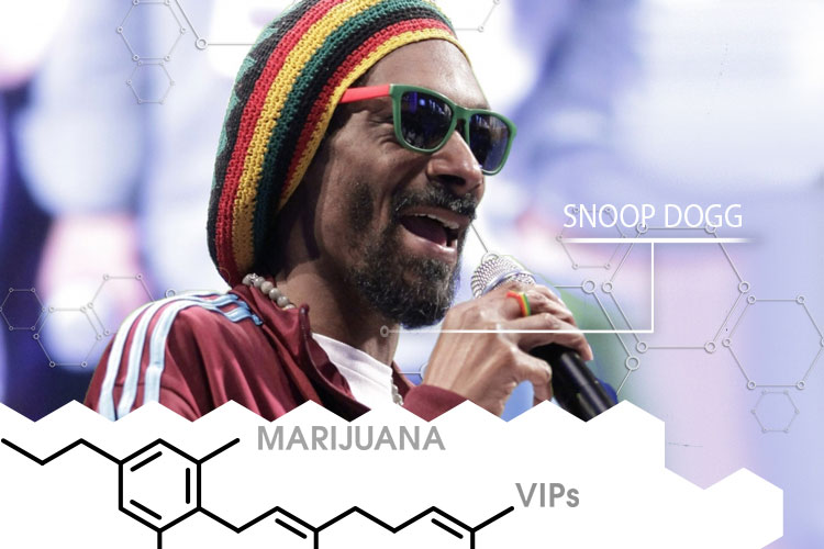 Marijuana VIP: Snoop Dogg - CannaConnection