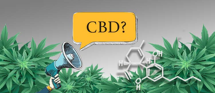 10 datos sobre el CBD que quizás no conocieses - CannaConnection
