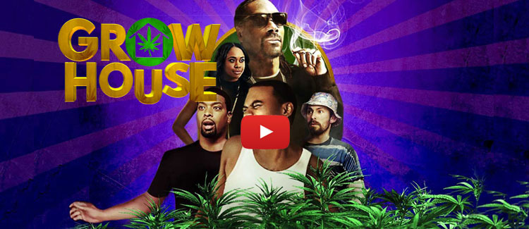 Grow house (2017): review - CannaConnection