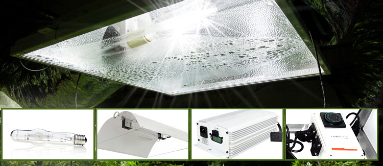 The 4 components of a grow room hid lighting system - CannaConnection