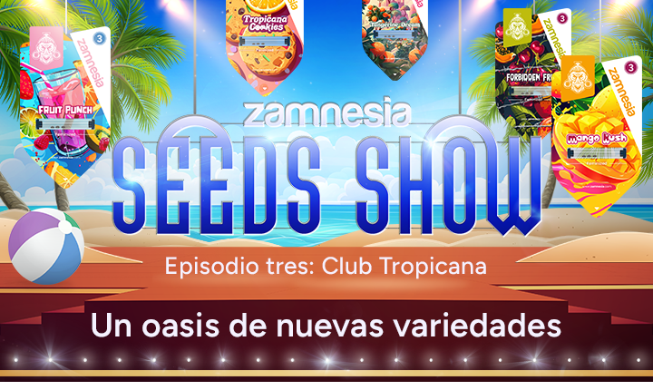Zamnesia Seeds | Variedades y opiniones - CannaConnection - CannaConnection