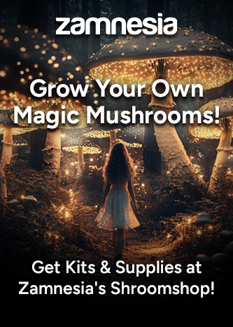 The ideal ec range for cannabis plants - CannaConnection