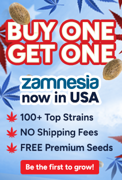 An honest review of Zamnesia - CannaConnection